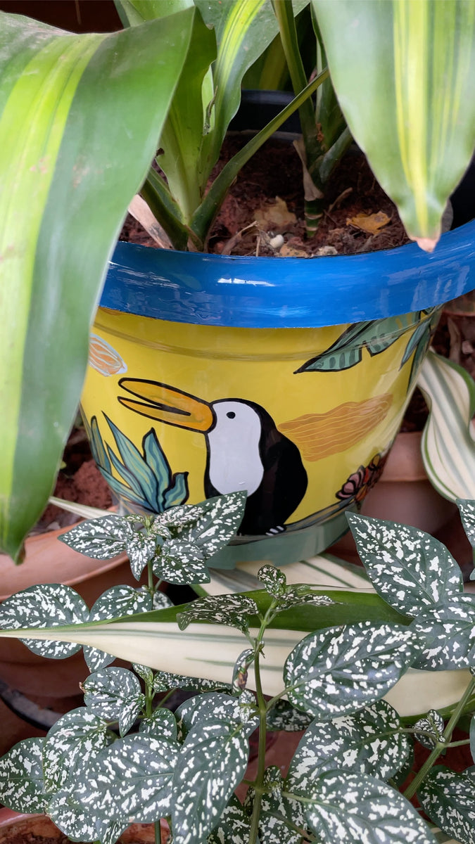 Big Toucan - Planter – The Yellow Brush Studio
